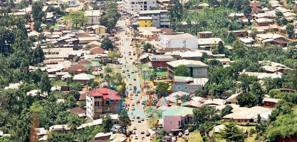 Reconstructing, Developing NW/SW : Valuable Contribution Of Partners